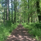 Simpson Park Trail, Oregon - 82 Reviews, Map | AllTrails
