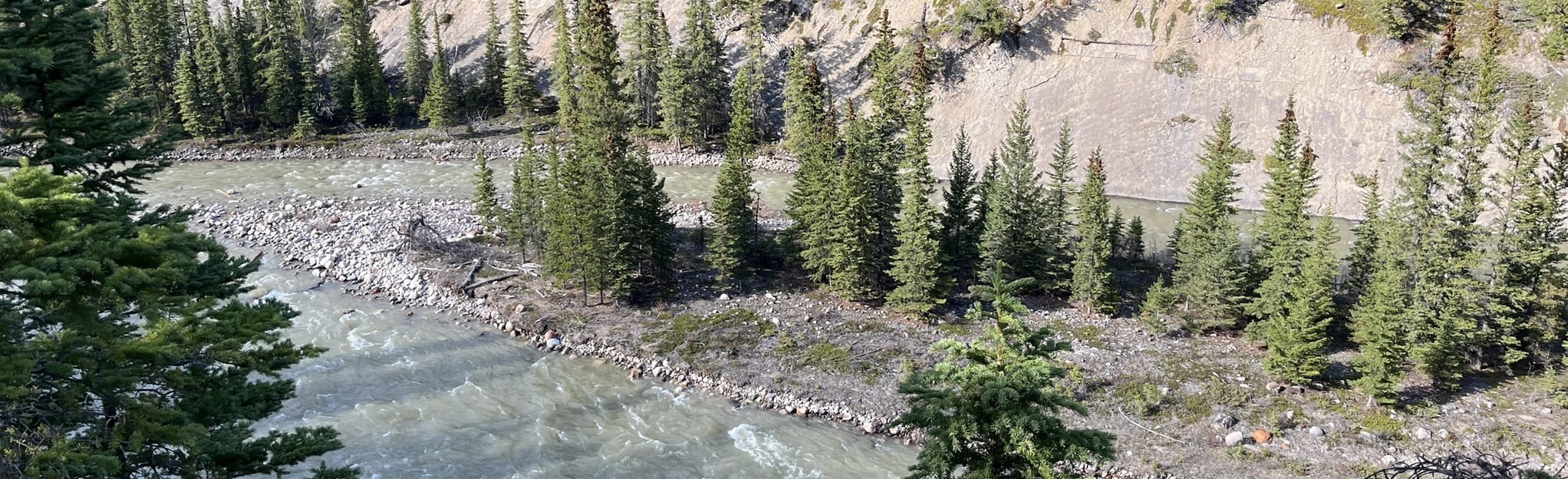 Snaring River Trail: 8 Reviews, Map - Alberta, Canada | AllTrails