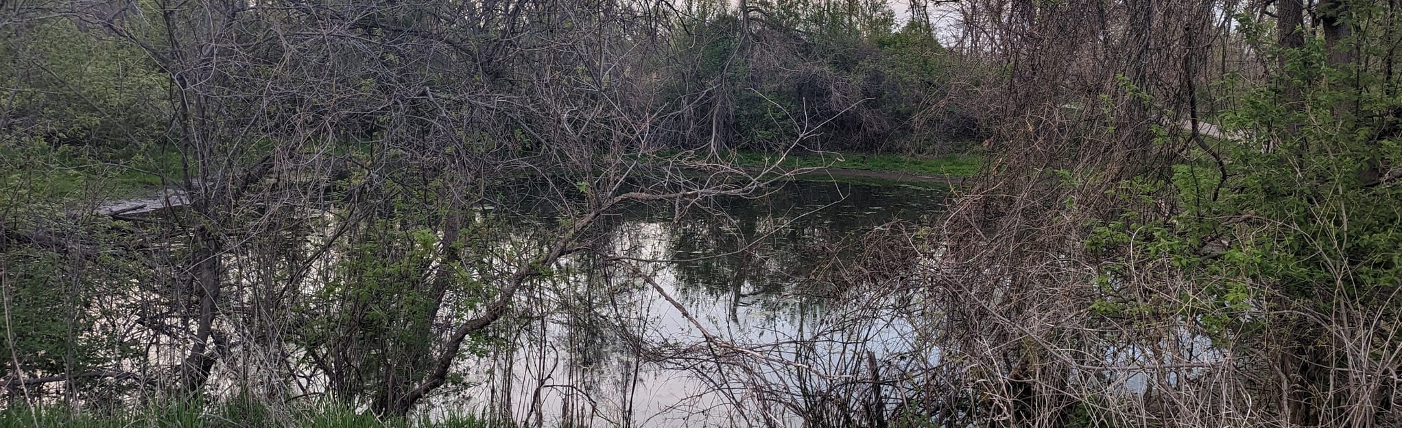 Morgan Creek Loop, Iowa - 38 Reviews, Map | AllTrails