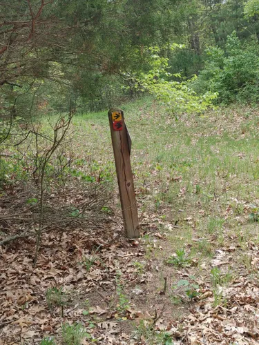 2023 Best Trail Running Trails in Sand Ridge State Forest | AllTrails