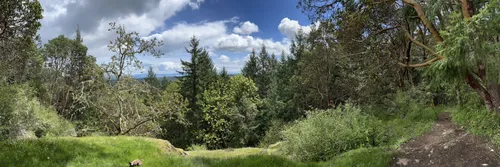 10 Best Hikes and Trails in Mount Work Regional Park | AllTrails