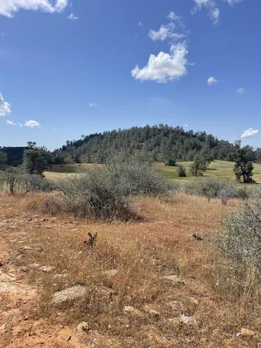 Best Hikes and Trails in Red Hills Recreation Management Area | AllTrails