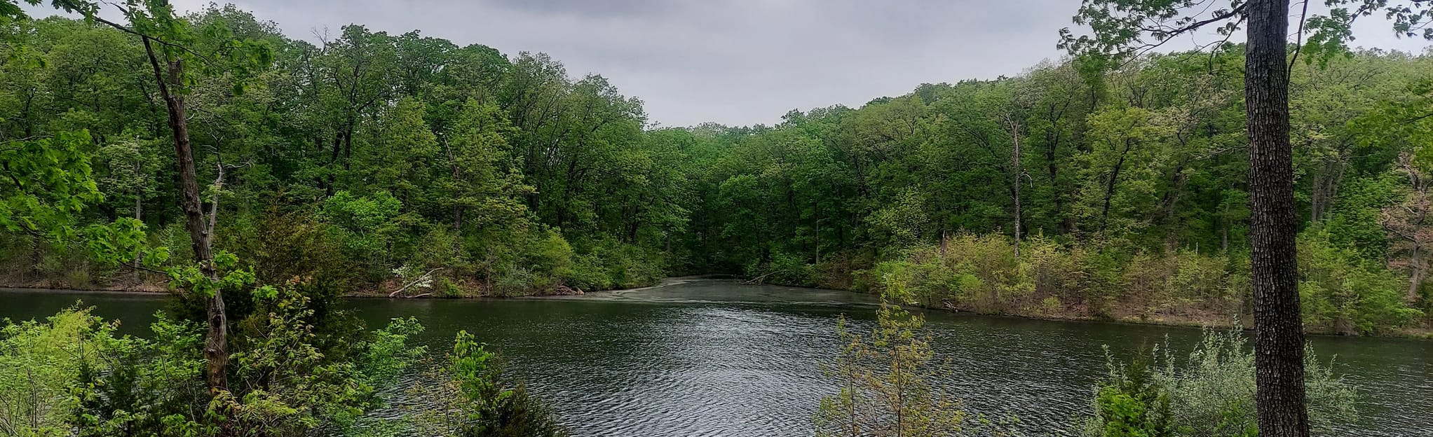 Lone Spring Trail: 415 Reviews, Map - Missouri | AllTrails