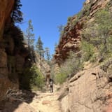 Checkerboard Mesa Canyon Trail, Utah - 174 Reviews, Map | AllTrails