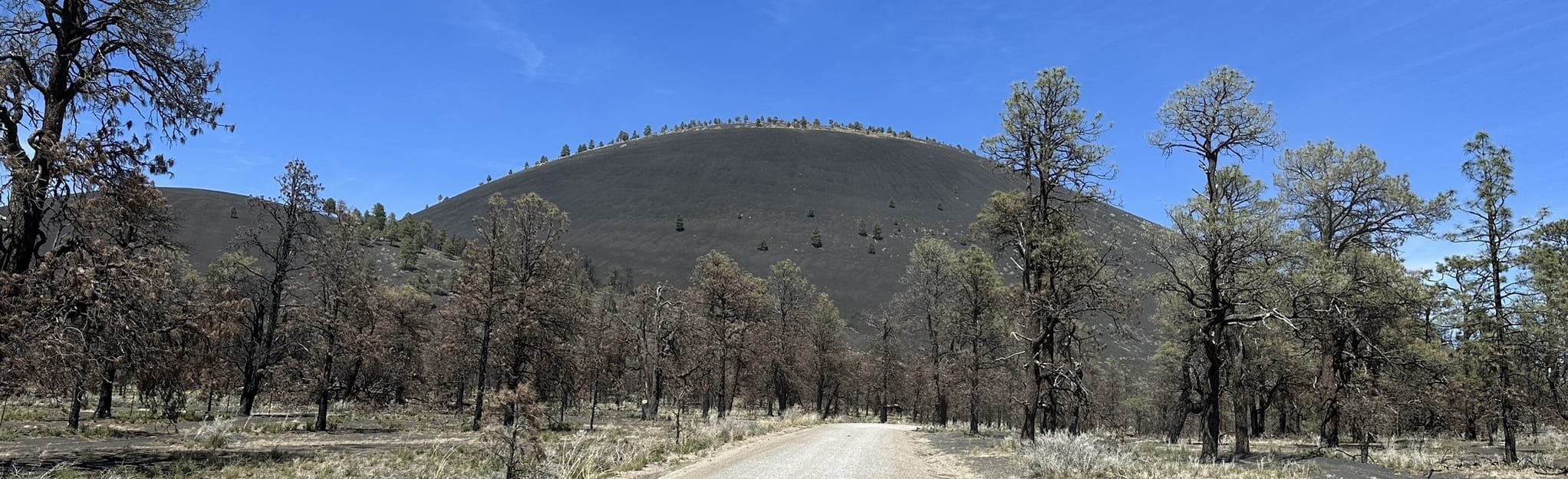 Cinders Hill OHV Super Loop, Arizona - 37 Reviews, Map | AllTrails