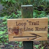 Weatherwax Trail, Washington - 284 Reviews, Map | AllTrails