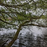 Weatherwax Trail, Washington - 284 Reviews, Map | AllTrails