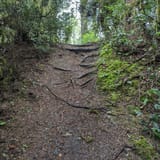 Weatherwax Trail, Washington - 284 Reviews, Map | AllTrails