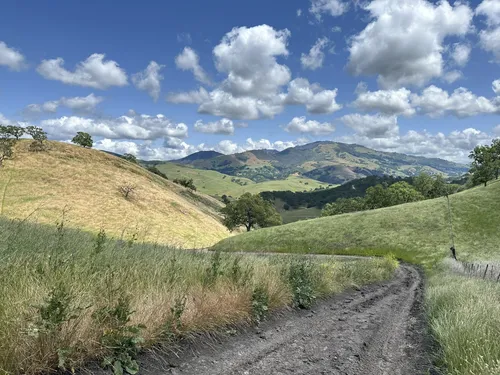 10 Best Hikes and Trails in Shell Ridge Open Space | AllTrails