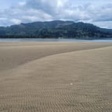 Bayocean Peninsula, Oregon - 632 Reviews, Map | AllTrails