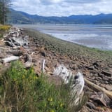 Bayocean Peninsula, Oregon - 632 Reviews, Map | AllTrails
