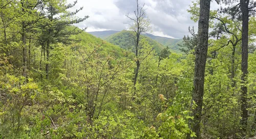 Best Hikes and Trails in Sampson Mountain Wilderness | AllTrails