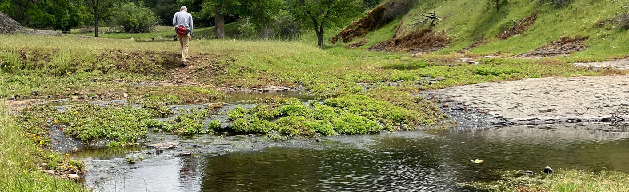 Phantom Falls Loop, California - 499 Reviews, Map | AllTrails