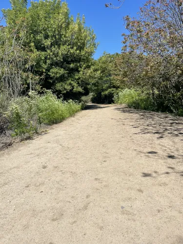 Best Hikes and Trails in Yorba Linda Lakebed Park | AllTrails