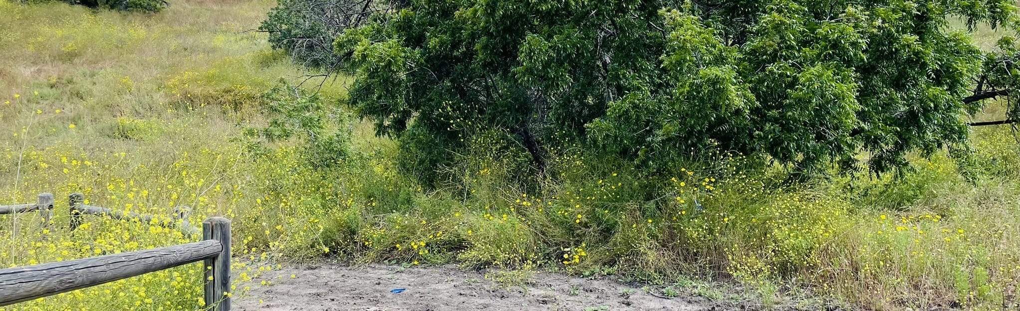 Reservoir Hill, Poop Out Hill, and Valley Loop Trail: 25 Reviews, Map ...