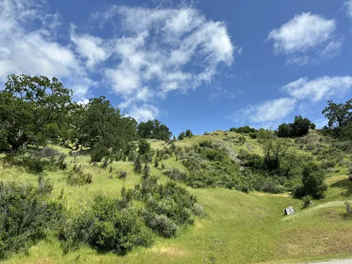 10 Best Hikes and Trails in Sunol Wilderness Regional Preserve | AllTrails