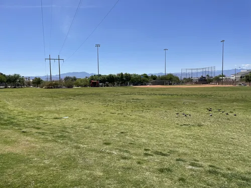 Best Wheelchair Friendly Trails in Cactus Wren Park | AllTrails