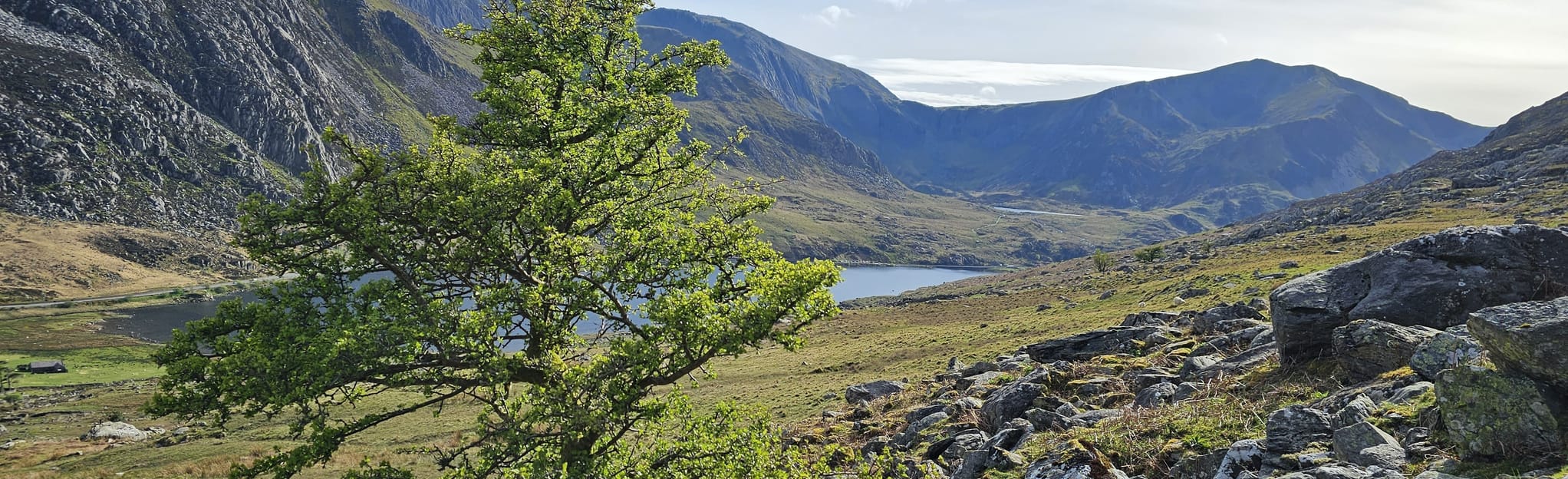 Carnedd Dafydd and Llewelyn Circular, Conwy, Wales - 394 Reviews, Map ...