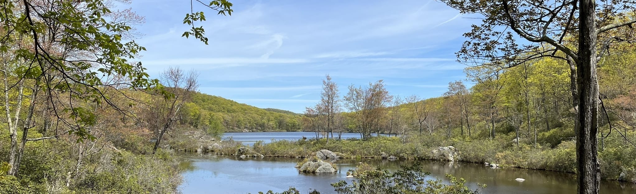 Ramapo Dunderberg and Triangle Trail Loop: 199 Reviews, Map - New York ...