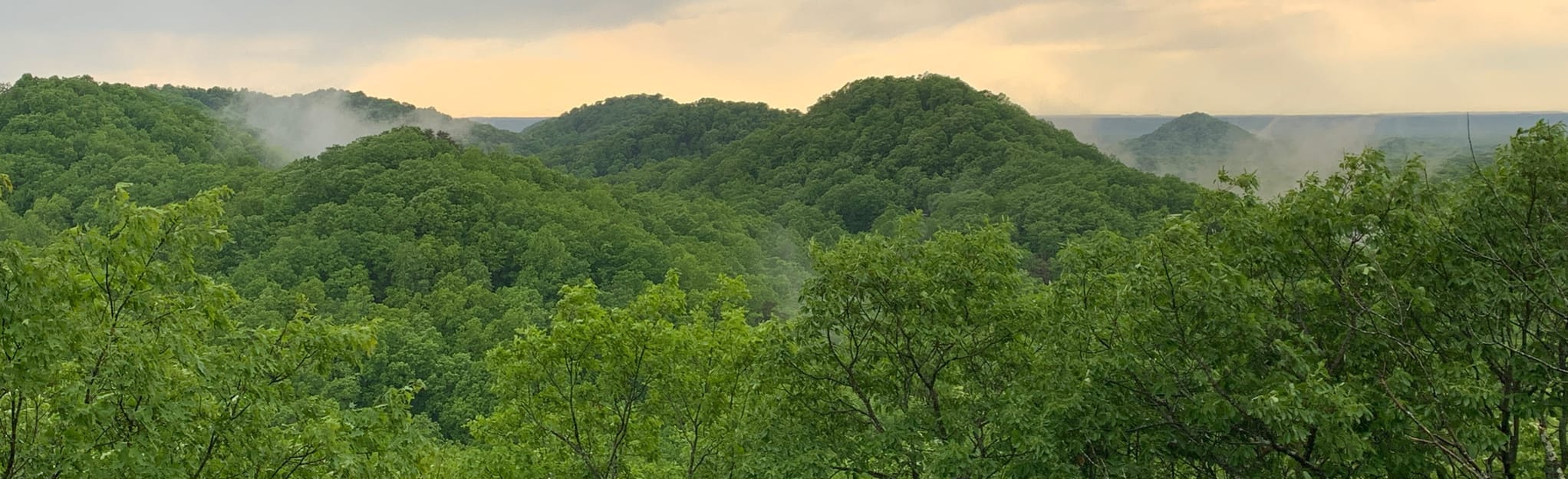 Knob Forest Overlook via Orange Trail: 36 Reviews, Map - Kentucky ...