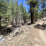 Schultz Creek Trail, Arizona - 400 Reviews, Map | AllTrails