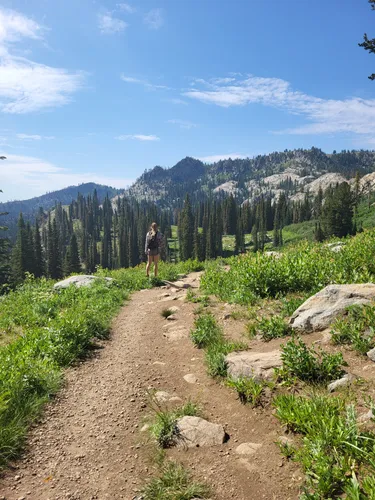 10 Best Hikes and Trails in Boise National Forest | AllTrails