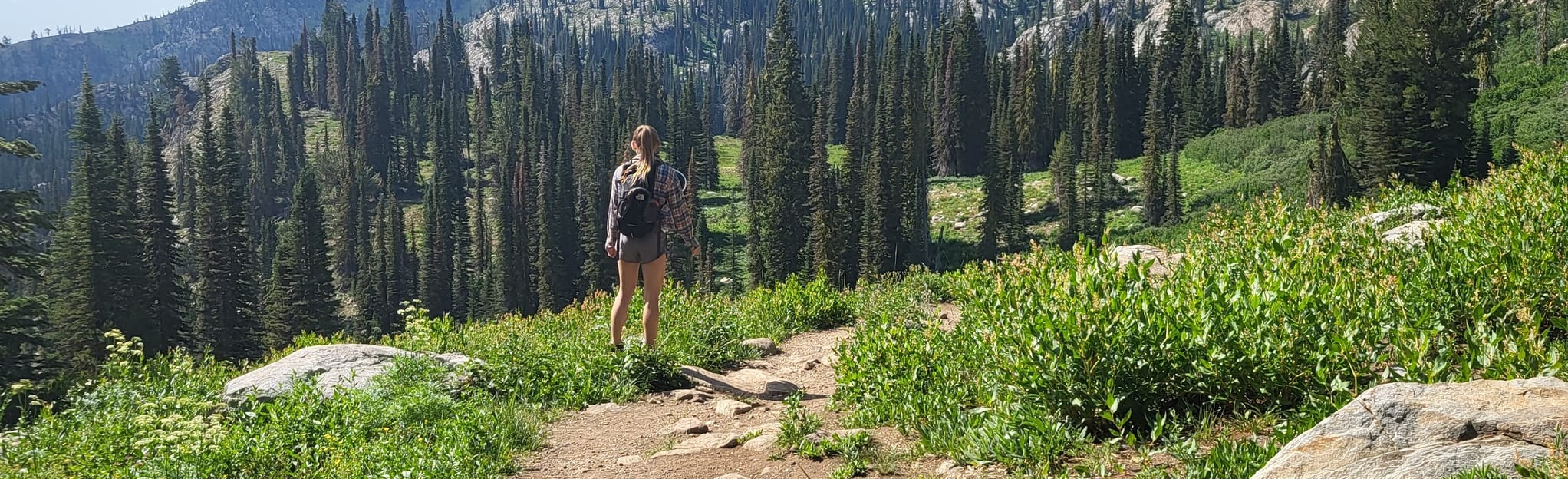 Blue Lake Trail, Idaho - 413 Reviews, Map | AllTrails