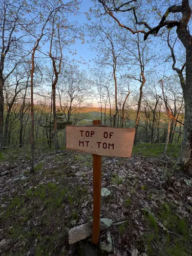 Best Hikes and Trails in Mount Tom Preserve | AllTrails