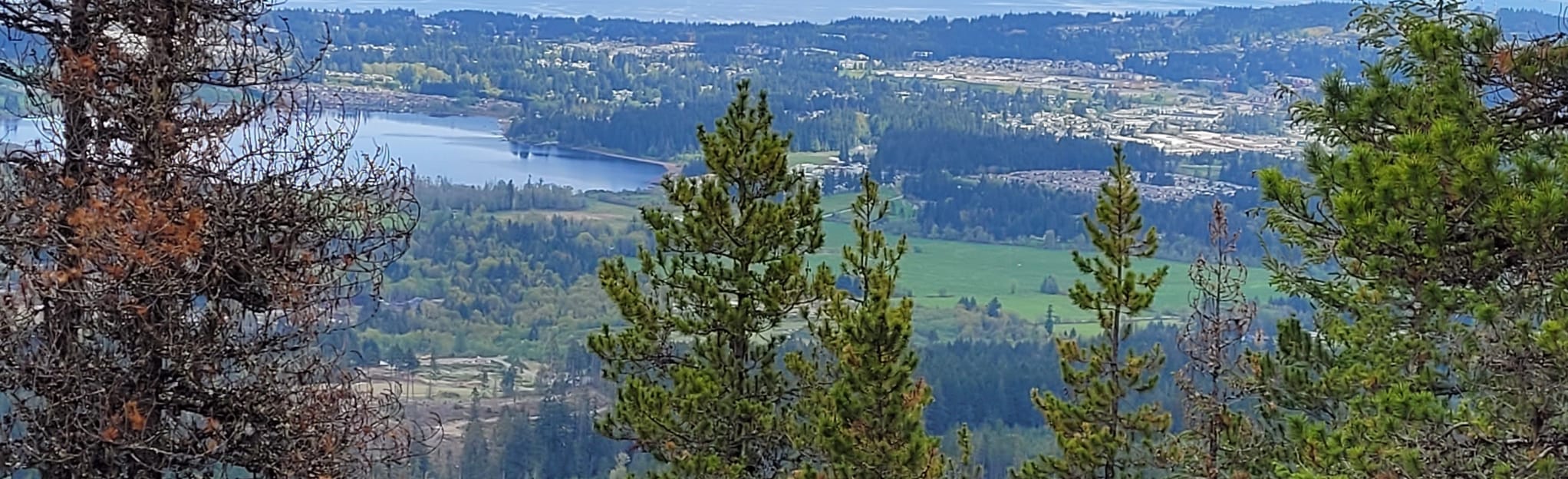 Mt Benson Loop via Longview Trail, British Columbia, Canada - 20 ...