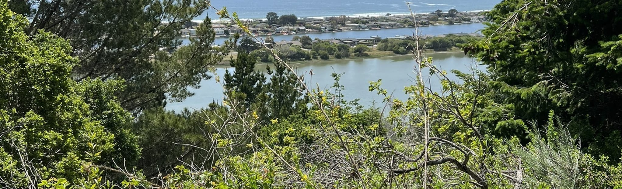 AllTrails | Willow Camp, Coastal, and McKennan Gulch Loop: 13 Reviews ...