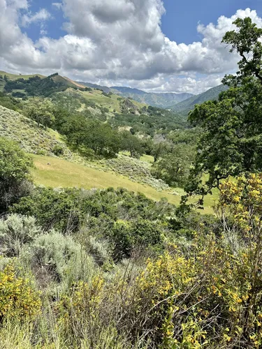 10 Best Hikes and Trails in Sunol Wilderness Regional Preserve | AllTrails