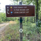 Currahee Mountain, Georgia - 573 Reviews, Map | AllTrails