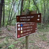 Currahee Mountain, Georgia - 573 Reviews, Map | AllTrails