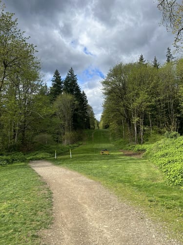 Best 10 Hikes and Trails in Tiger Mountain State Forest | AllTrails