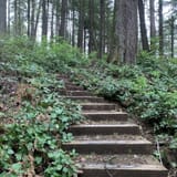 Sasamat Lake Loop Trail - Woodhaven Trail - Woodhaven Swamp Loop Trail ...