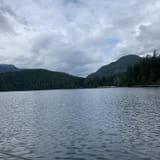 Sasamat Lake Loop Trail - Woodhaven Trail - Woodhaven Swamp Loop Trail ...
