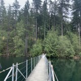 Sasamat Lake Loop Trail - Woodhaven Trail - Woodhaven Swamp Loop Trail ...