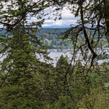 Big Tree Ridge Trail: Short Version, Washington - 295 Reviews, Map ...