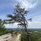 Currahee Mountain, Georgia - 570 Reviews, Map | AllTrails