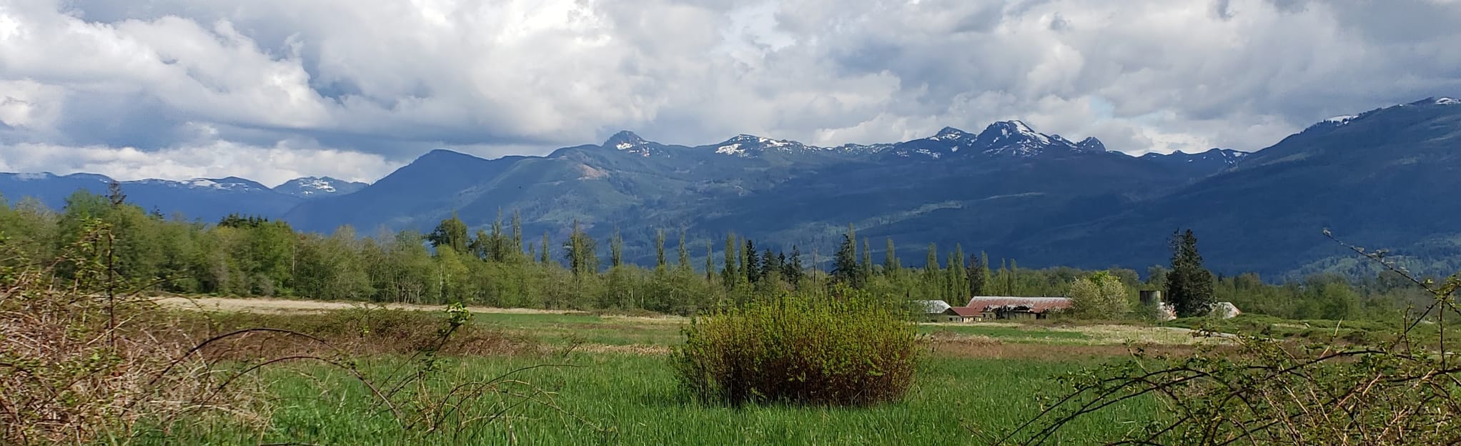 Northern State Recreation Area Loop: 354 foto's - Washington | AllTrails