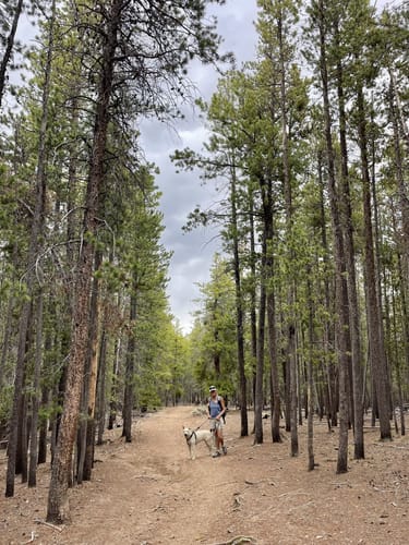 2023 Best Walking Trails in Meyer Ranch Park | AllTrails