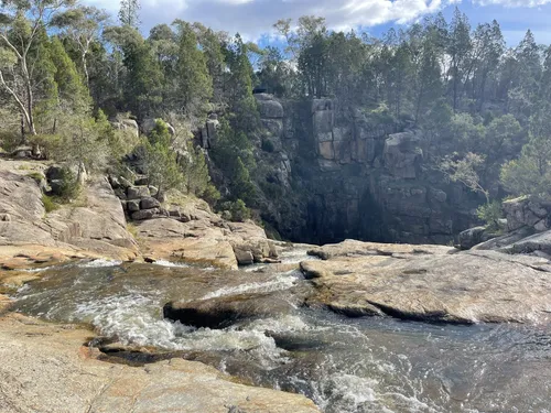 10 Best Hikes and Trails in Chiltern-Mt Pilot National Park | AllTrails