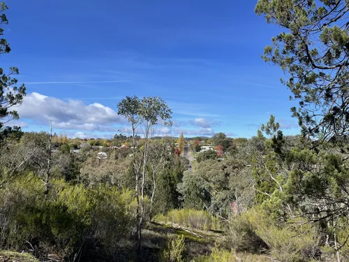 Best 10 Hiking Trails in Beechworth Historic Park | AllTrails