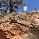 The Beehive, Utah - 54 Reviews, Map | AllTrails