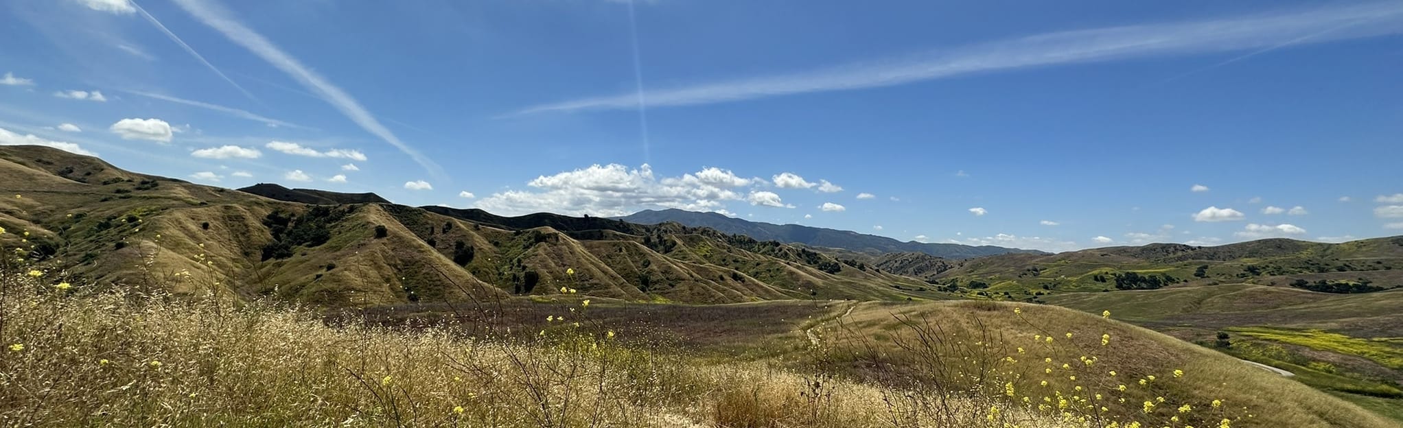 Bane Canyon Road, Upper Aliso Canyon Trail, and Sidewinder Trail Loop ...