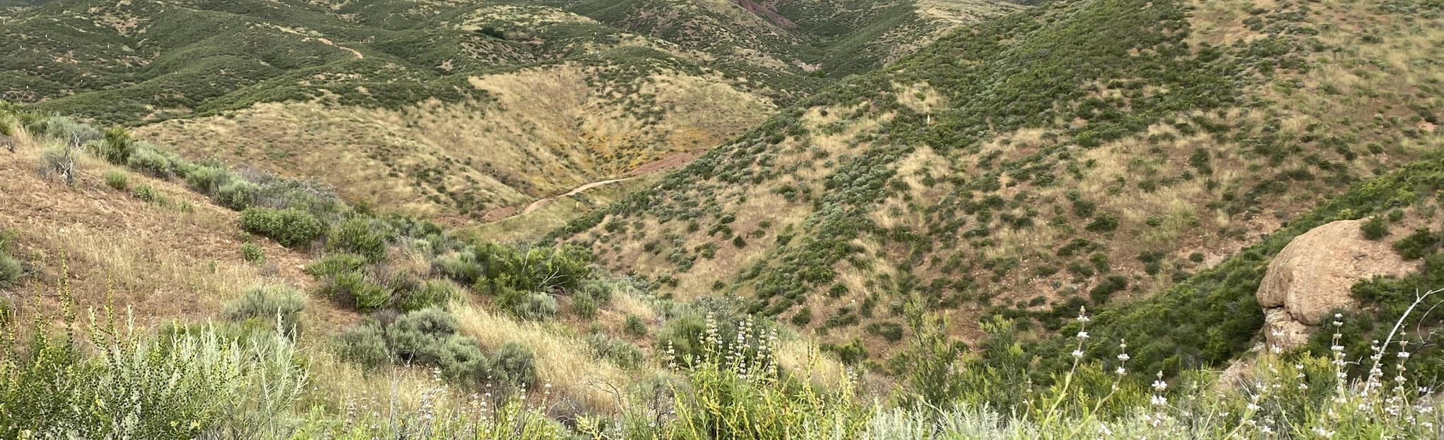 AllTrails | Texas Canyon Rocks: 84 Reviews, Map - California