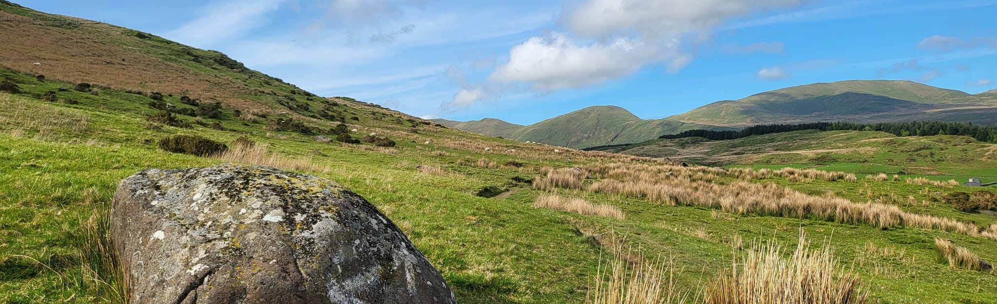 Llyn y Gadair and Llyn Llywelyn Circular, Gwynedd, Wales - 14 Reviews ...