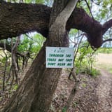 Rustig Hiking Trail, Gauteng, South Africa - 264 Reviews, Map | AllTrails