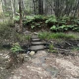 Trachyte Circuit, Queensland, Australia - 226 Reviews, Map | AllTrails