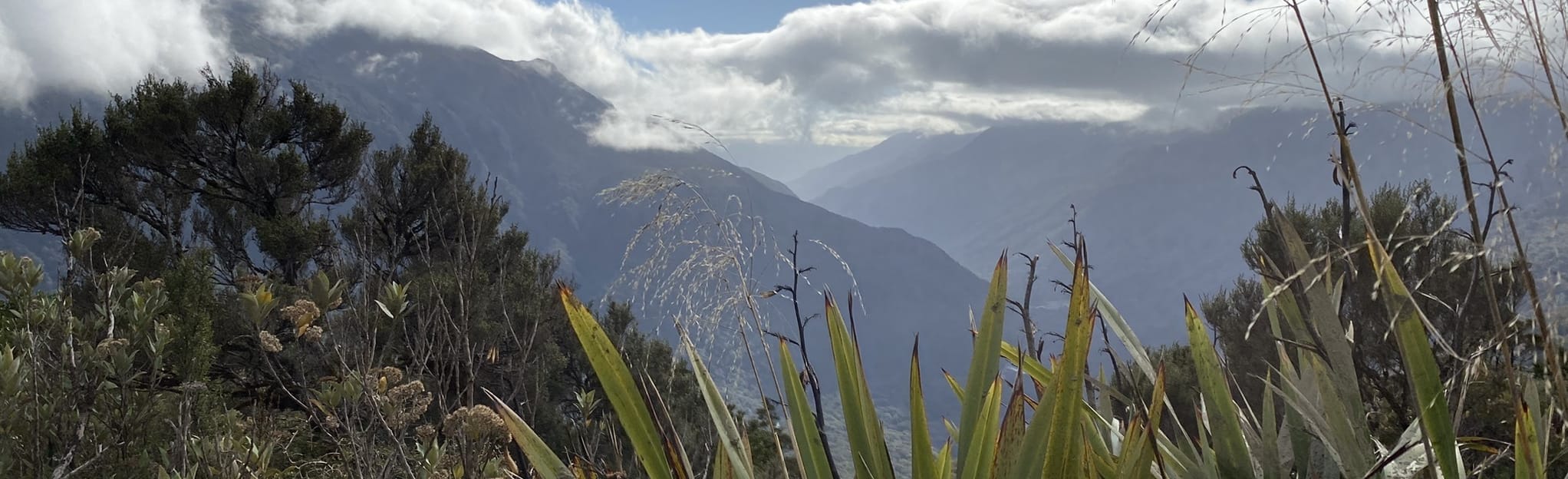 Lake Howden via Routeburn Track, Otago, New Zealand - 36 Reviews, Map ...